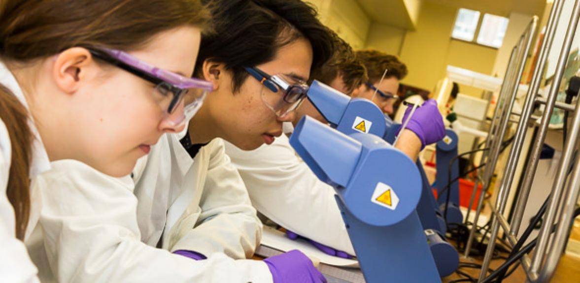 LEAF scheme | Sustainability